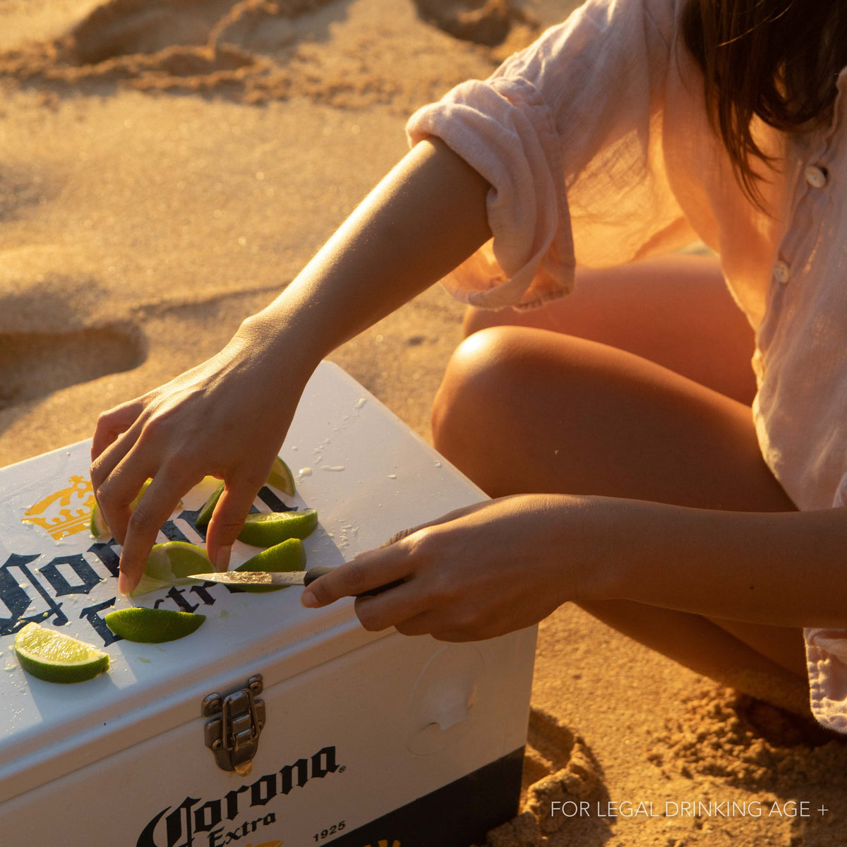 corona coolbox
