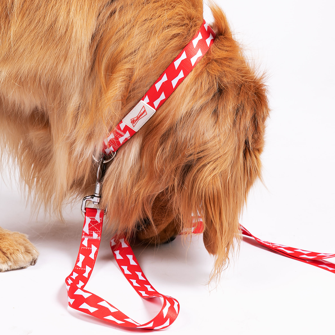 THE GOOD BUD LEASH – Shop Beer Gear