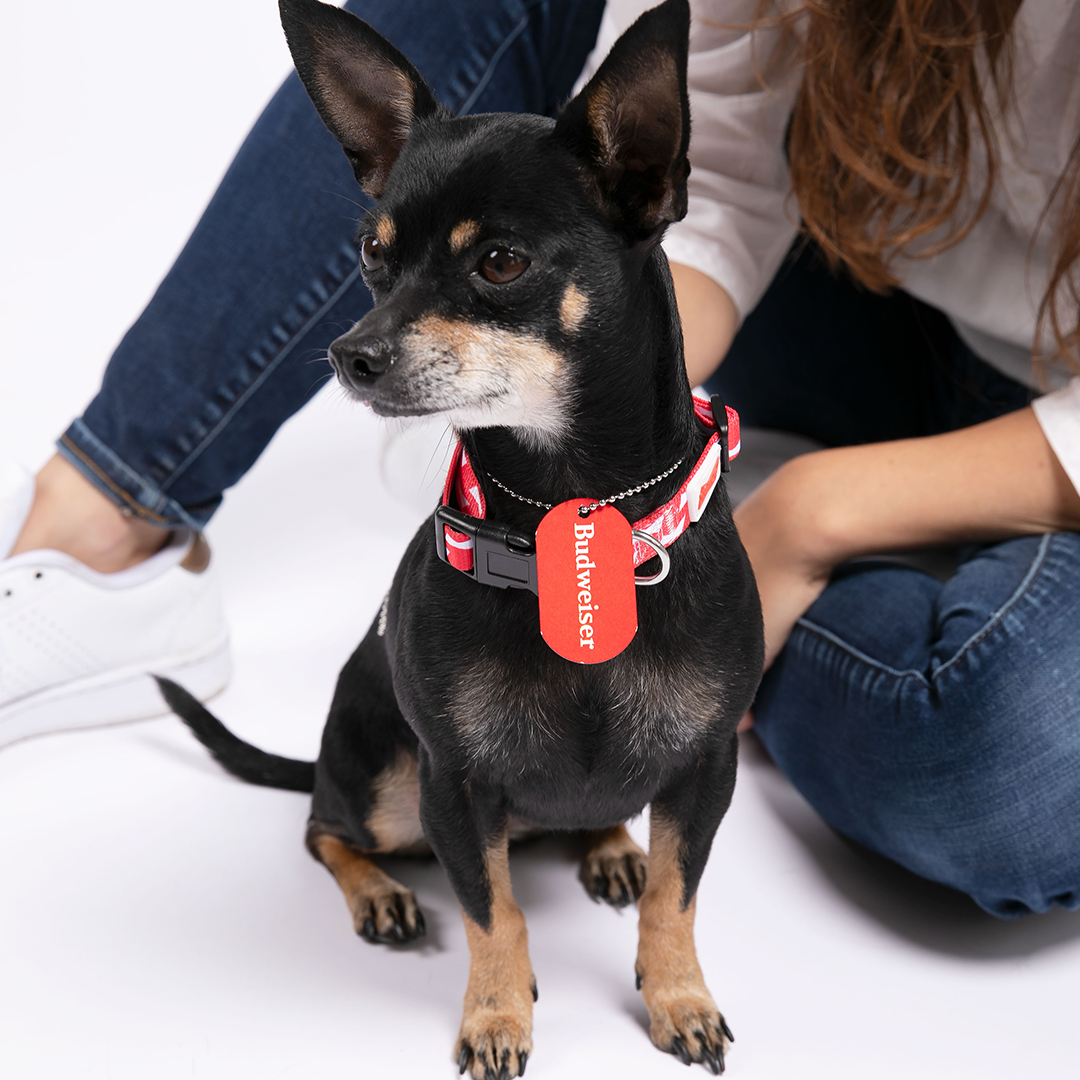 Bud Retro Dog Tag | SHOP BEER GEAR – Shop Beer Gear